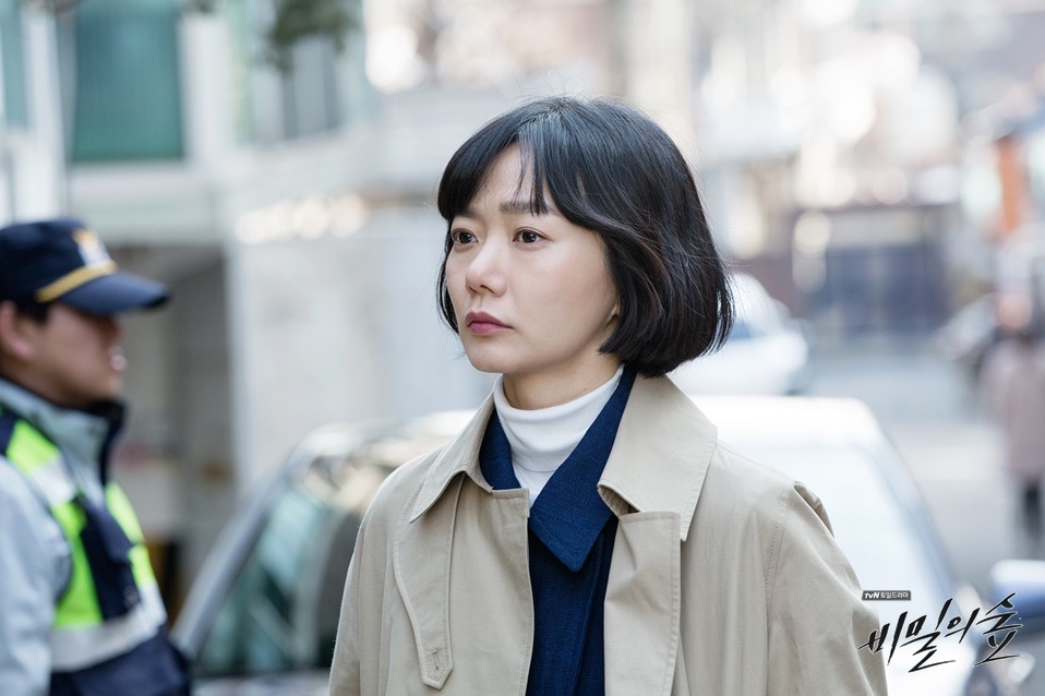 Secret Forest – Layers to Unravel – the talking cupboard